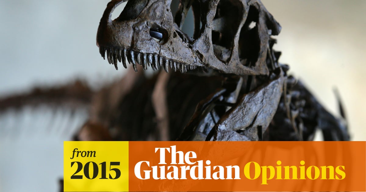 Dinosaur Skeletons Aren T Decor They Shouldn T Be Sold To The Highest