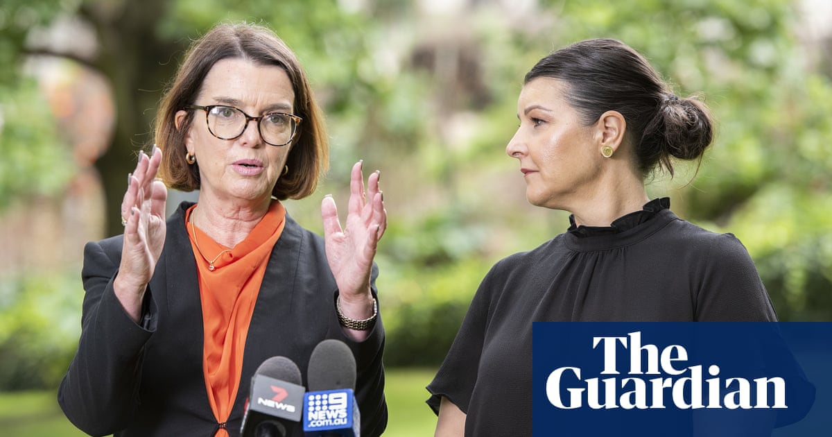 Domestic Violence Womens Safety Advocates Say Coalition Is Ignoring