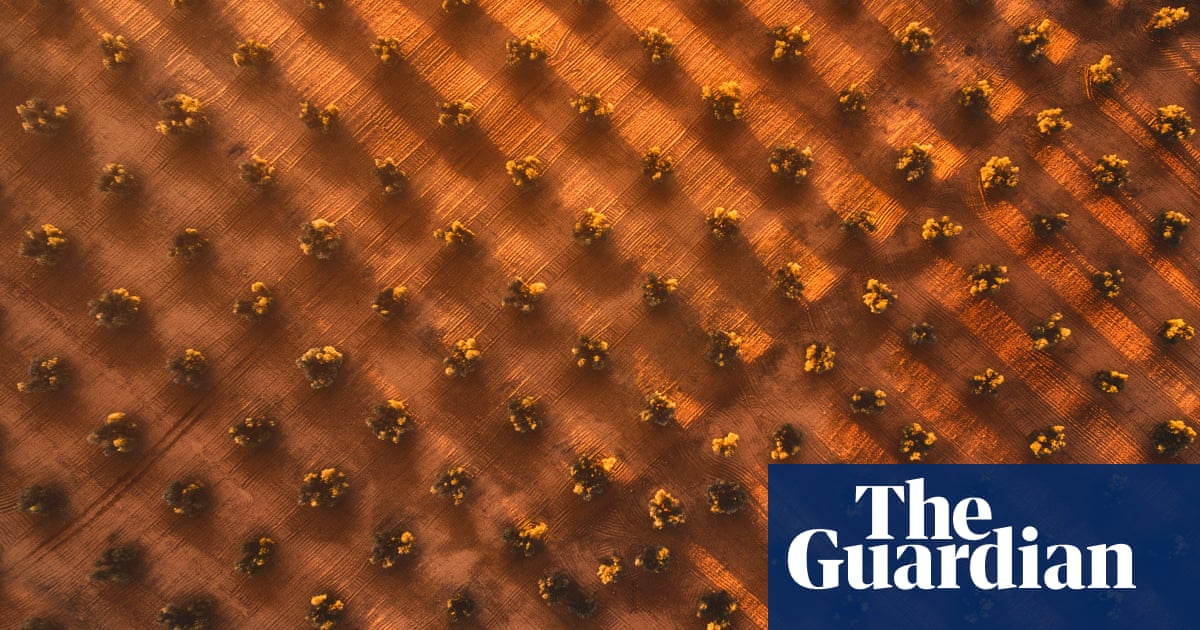 SkyPixel aerial photography contest winners 2017 – in pictures | Art ... SkyPixel aerial photography contest winners 2017 – in pictures | Art ...