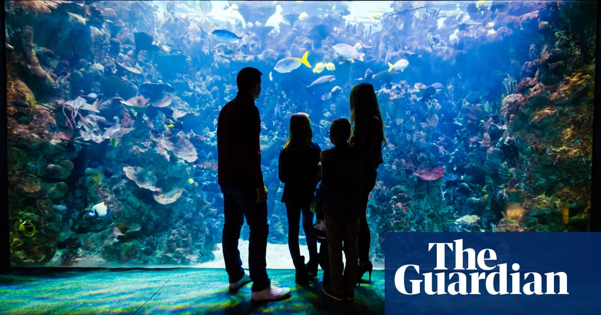 Take The Kids To The Deep Hull Travel The Guardian take-the-kids-to-the-deep-hull-travel-the-guardian