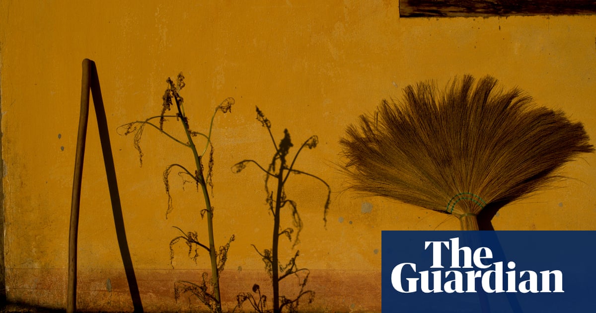 No Straight Lines In Nature In Pictures Art And Design The Guardian no-straight-lines-in-nature-in-pictures-art-and-design-the-guardian