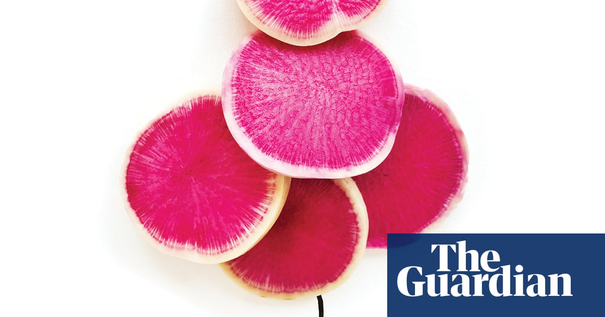 Fashion Fit To Eat In Pictures Art And Design The Guardian