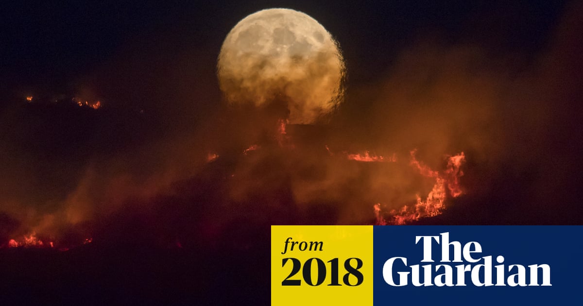 Wildfires Sweep Across Moors Outside Manchester In Pictures Uk News
