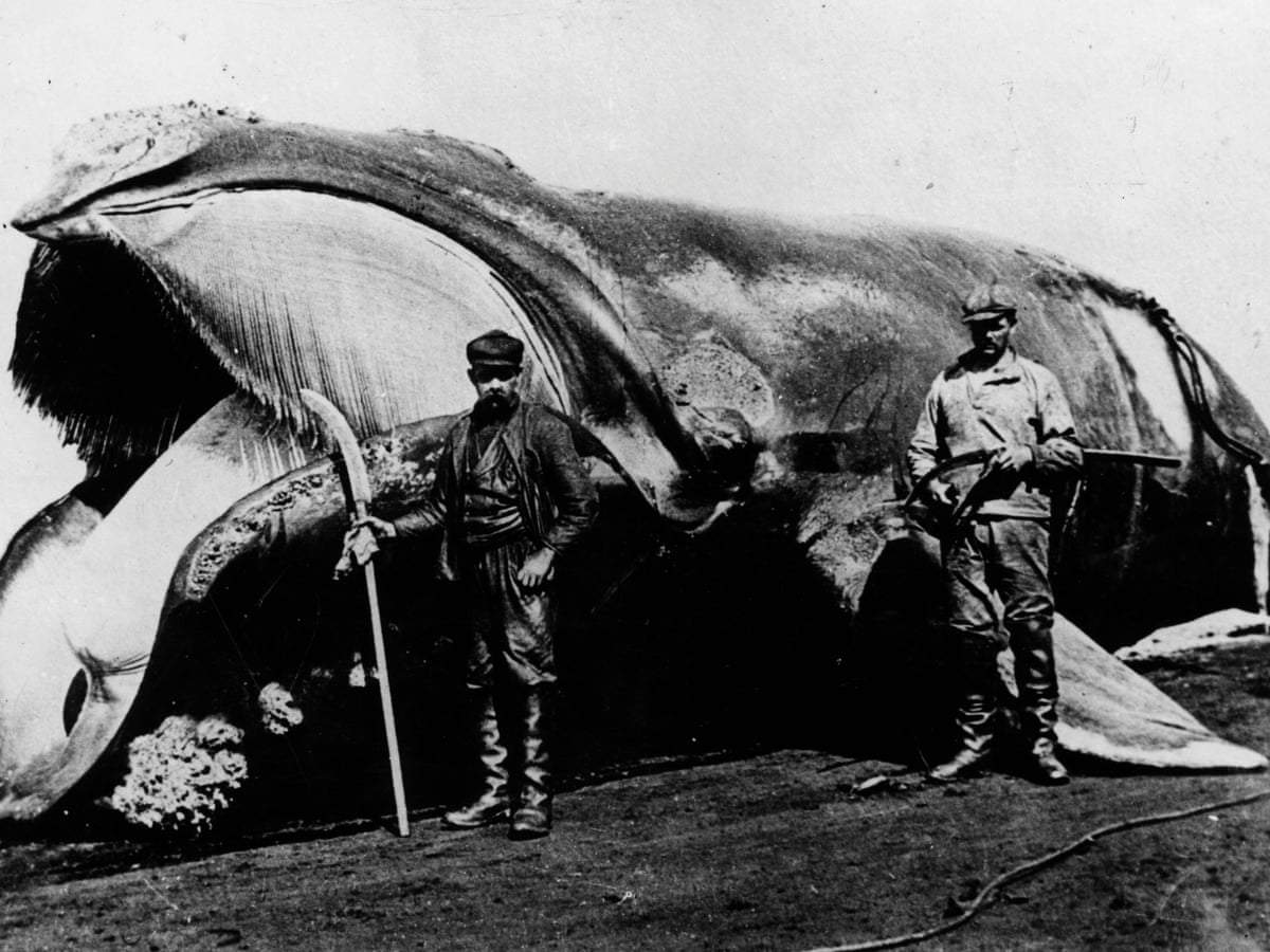 Whaling 19th Century