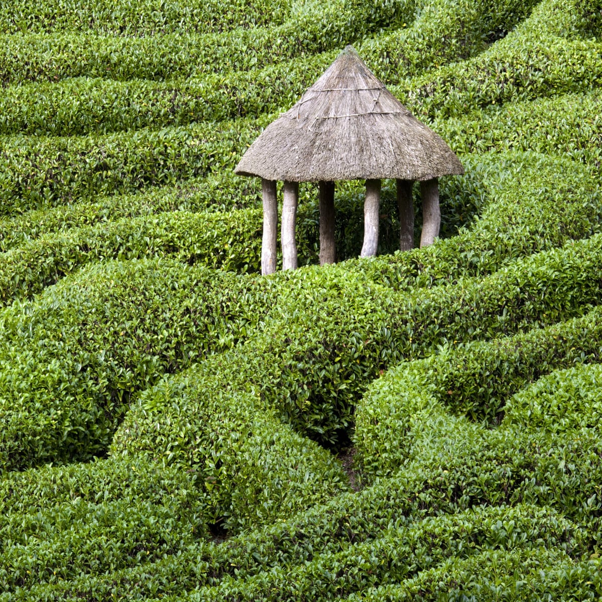 Settles For An Option Crossword Clue Johntaymartinmusic settles-for-an-option-crossword-clue-johntaymartinmusic