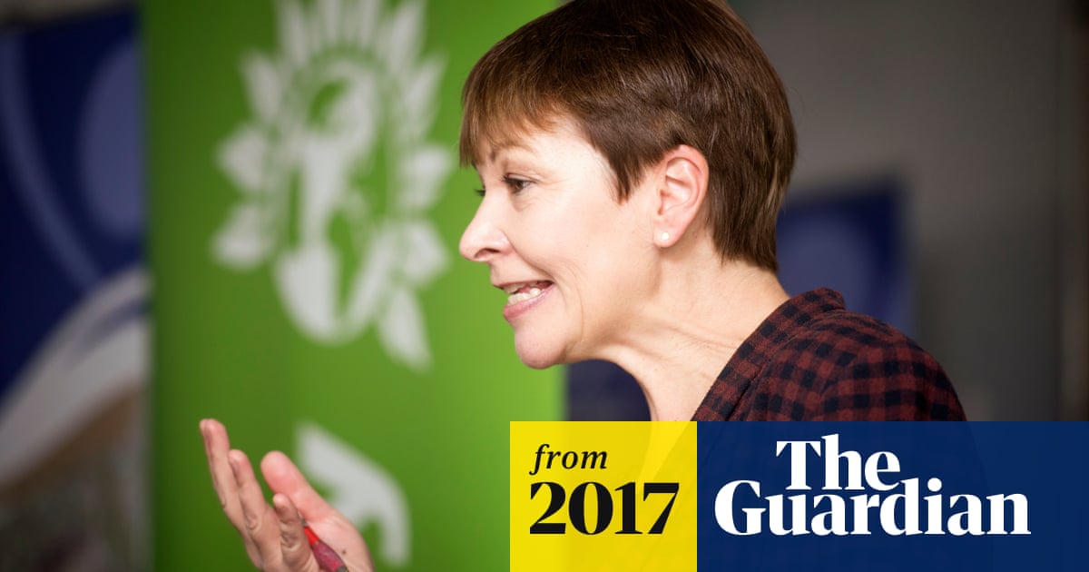 Greens Face More Questions Over £250k Offer Not To Stand In Byelection