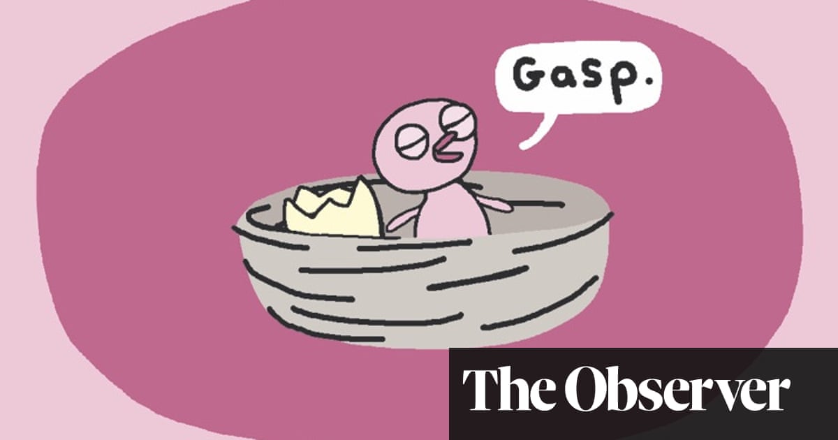 Simone Lia First Time For Everything Cartoon Design The Guardian