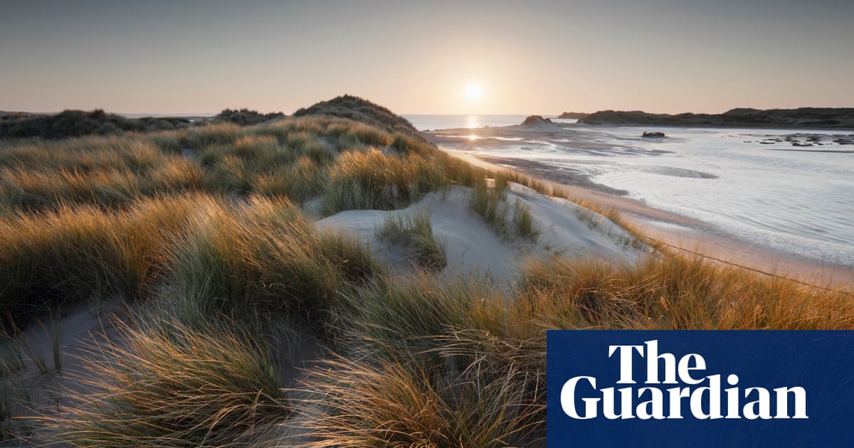 The Best Recent Crime Novels Review Roundup Books The Guardian the-best-recent-crime-novels-review-roundup-books-the-guardian