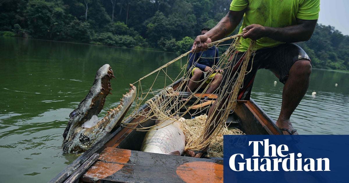 The 20 Photographs Of The Week Art And Design The Guardian