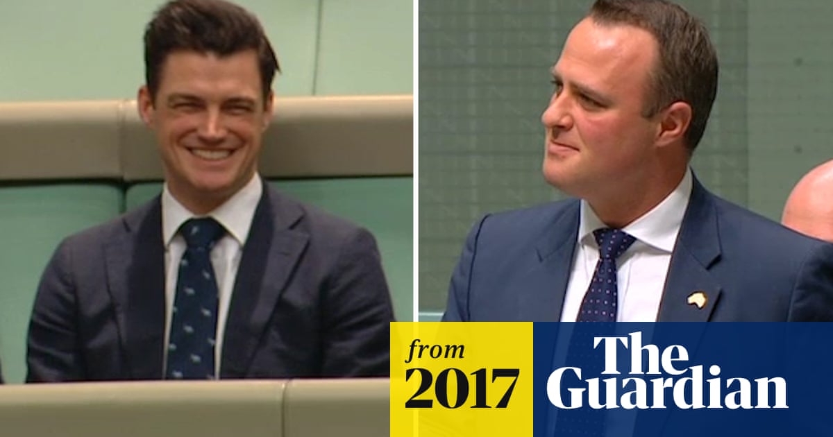 Australian Mp Proposes To Partner During Same Sex Marriage Debate In