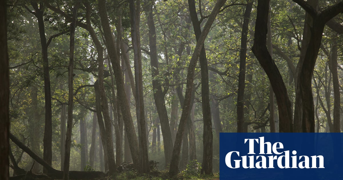 No Straight Lines In Nature In Pictures Art And Design The Guardian no-straight-lines-in-nature-in-pictures-art-and-design-the-guardian
