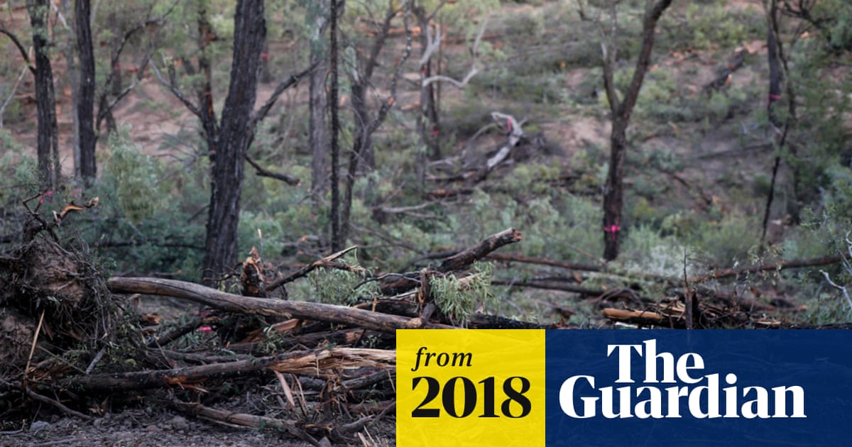 Maules Creek Offsets Still Not Secured Five Years After Land Clearing