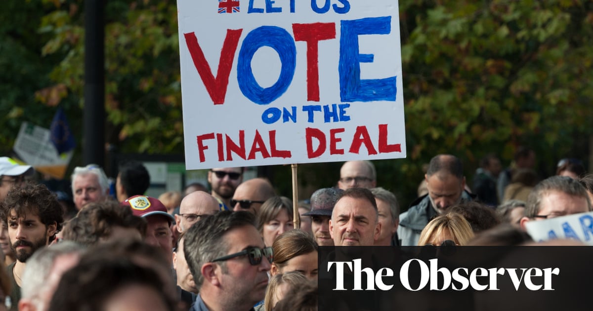 The Observer View On Brexit Its Our Political System Not Just Mps