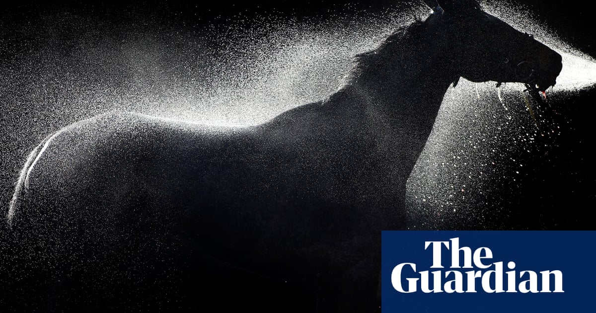 The 20 Photographs Of The Week Art And Design The Guardian