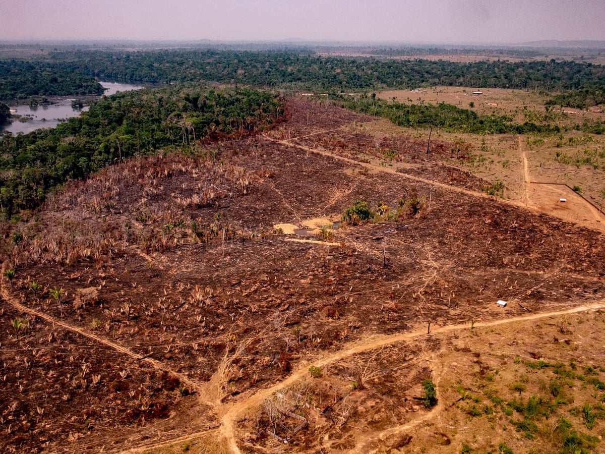 Deforestation In Amazon Rainforest Threatens Indigenous 44 Off