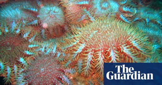 Coral Reefs Under Threat Environment The Guardian
