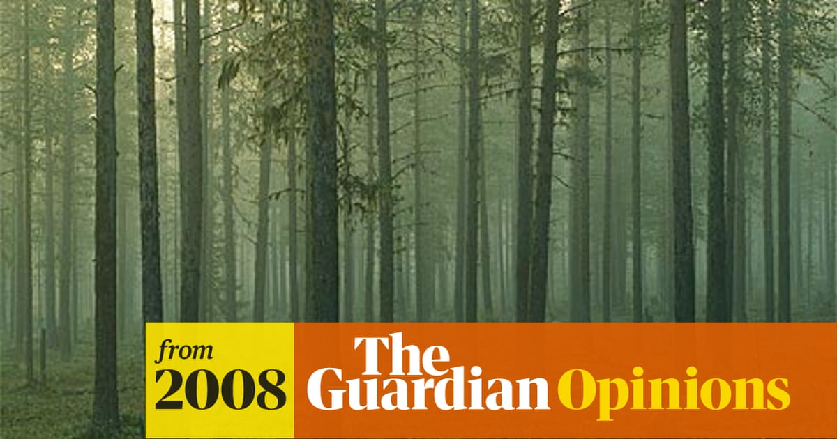 Greenwash Carbon Offset Trees Are Not Just For Christmas Carbon