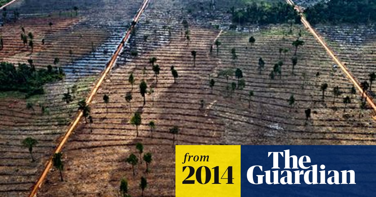 Is Apps Zero Deforestation Pledge A Green Villains Dramatic