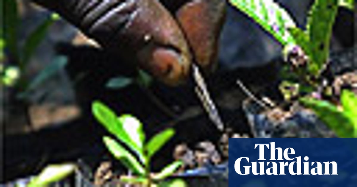 Do Carbon Neutral Declarations By Big Brands Mean Anything Business