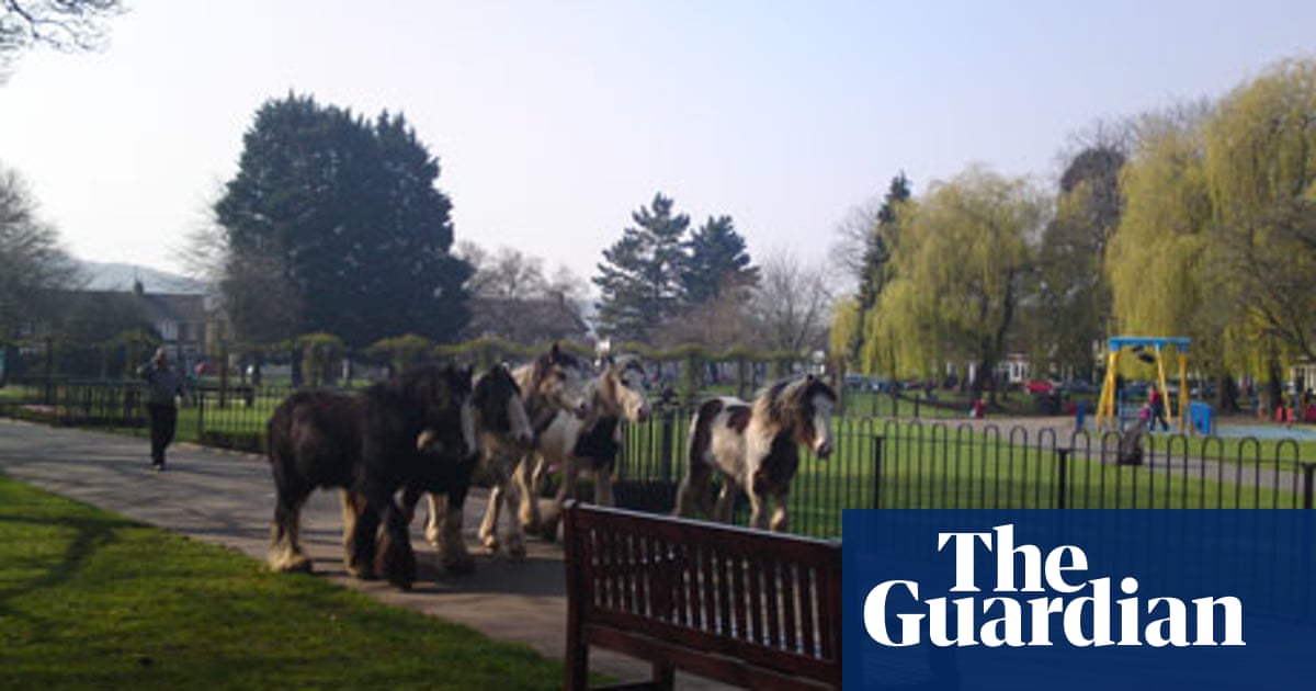 Horses Run Free In Victoria Park Canton The Guardian horses-run-free-in-victoria-park-canton-the-guardian