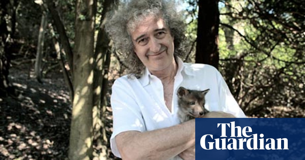 Brian May My Quest To Save The Badger Badgers The Guardian