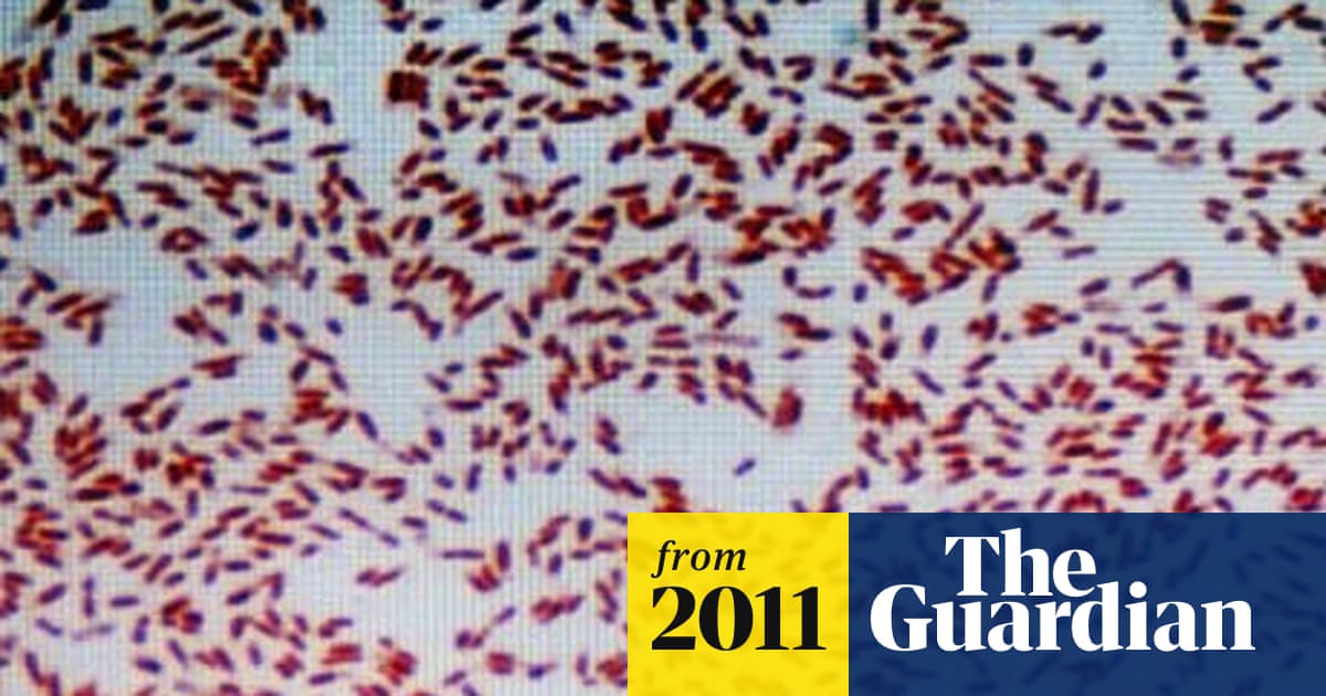 E Coli The Deadly European Outbreak E Coli The Guardian