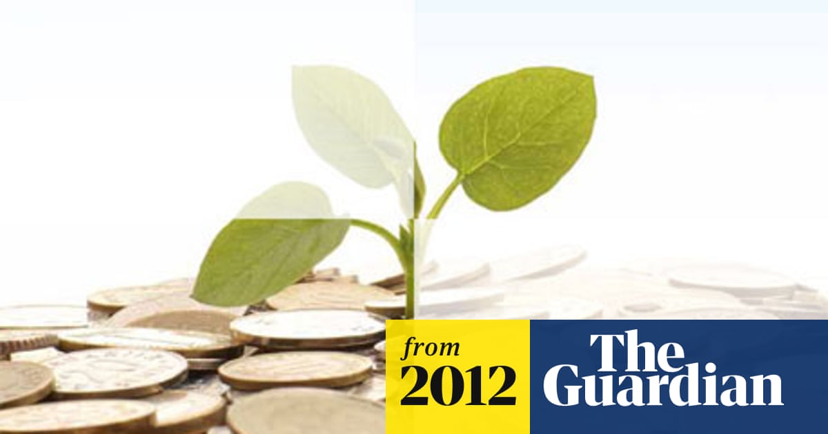 More With Less Scaling Sustainable Consumption And Resource Efficiency