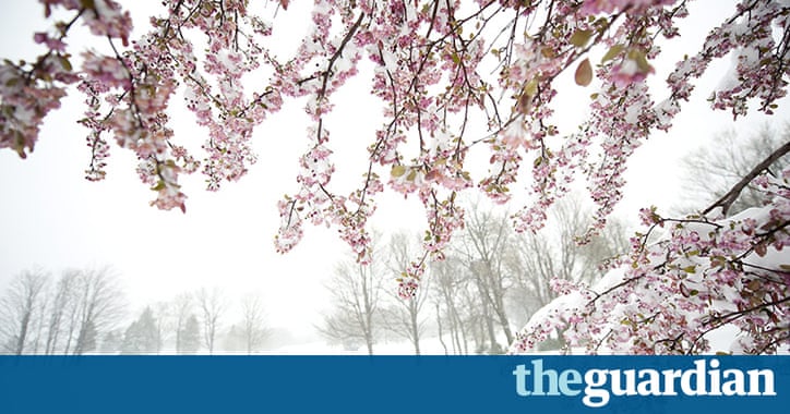The Week In Wildlife In Pictures Environment The Guardian