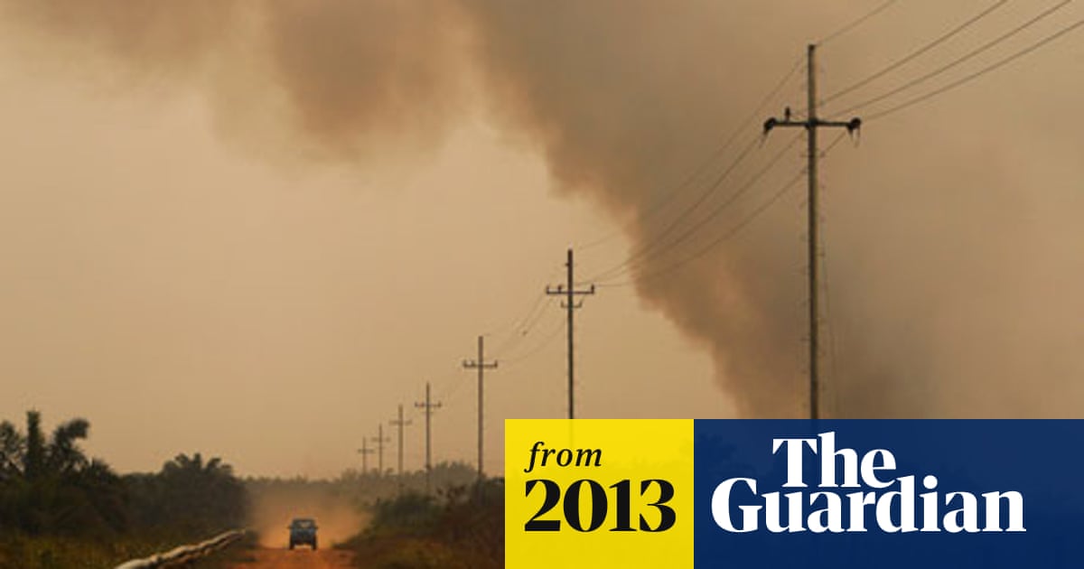 RSPO members implicated in air pollution crisis, says Greenpeace | Palm ... RSPO members implicated in air pollution crisis, says Greenpeace | Palm ...