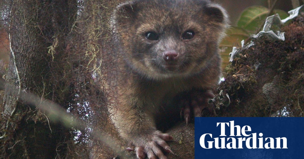 Top 10 New Species Of The Past Year In Pictures Environment The top-10-new-species-of-the-past-year-in-pictures-environment-the