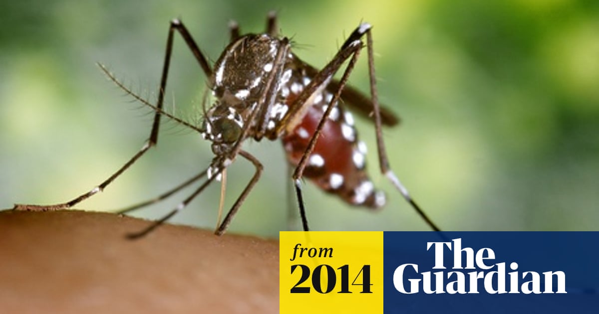 Japanese Models Catch Dengue Fever After Visiting Source Of Outbreak