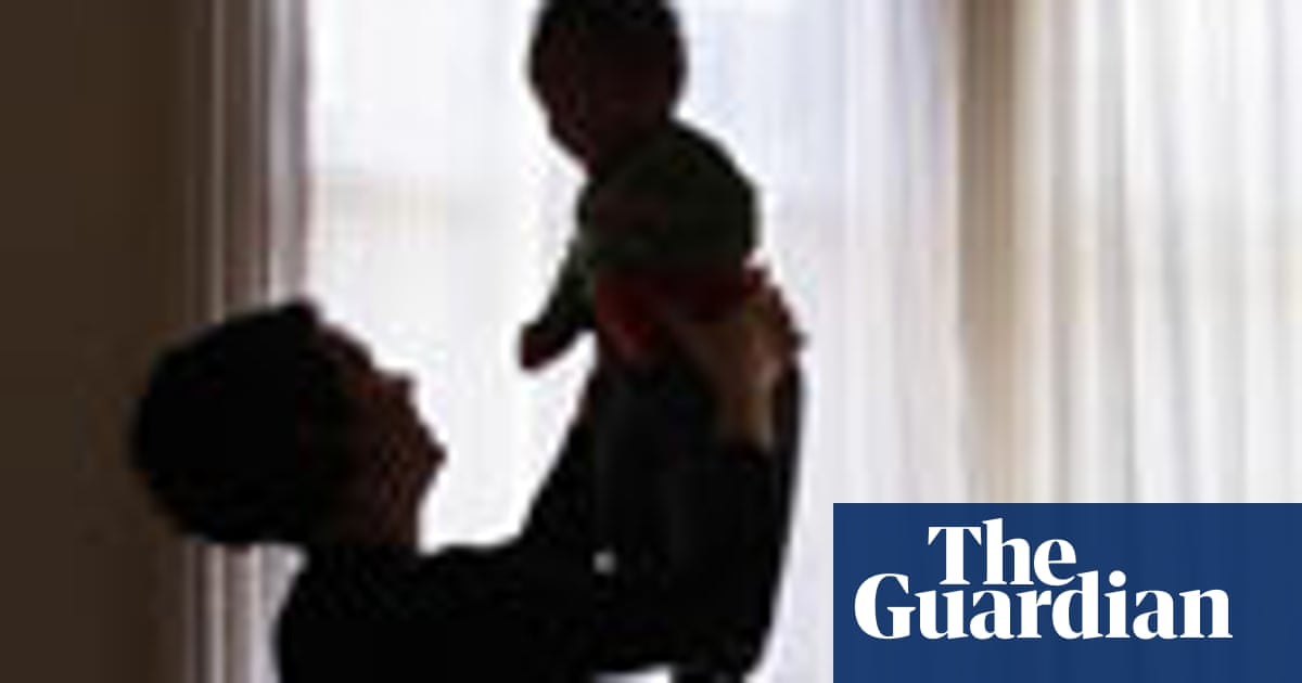 Ethnic Minority Domestic Violence Survivors Society The Guardian